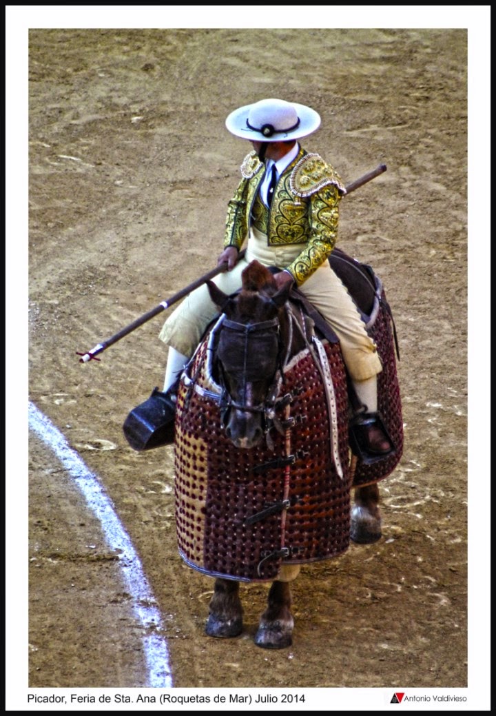 Ilusiones en imágenes.: Picador...haciendo puerta.